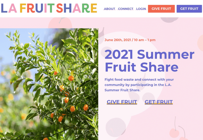 Nonprofit Campaigns: An Ultimate Guide and 4+ Examples