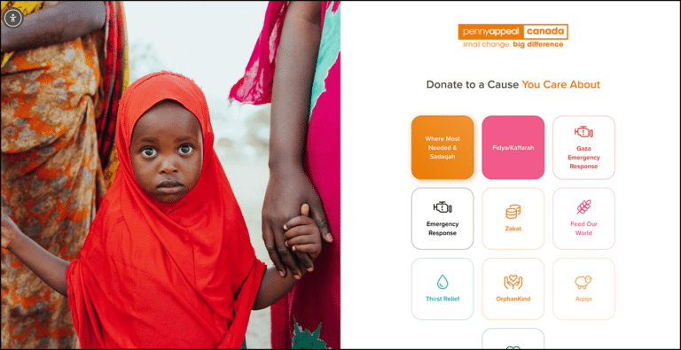 Nonprofit Campaigns: An Ultimate Guide and 4+ Examples