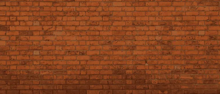 Nonprofit Campaigns: An Ultimate Guide and 4+ Examples