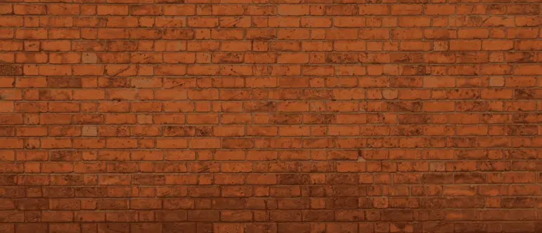 Nonprofit Campaigns: An Ultimate Guide and 4+ Examples