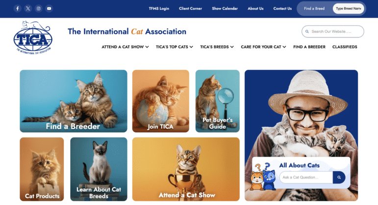 Transforming TICA: Modernized Design & SEO